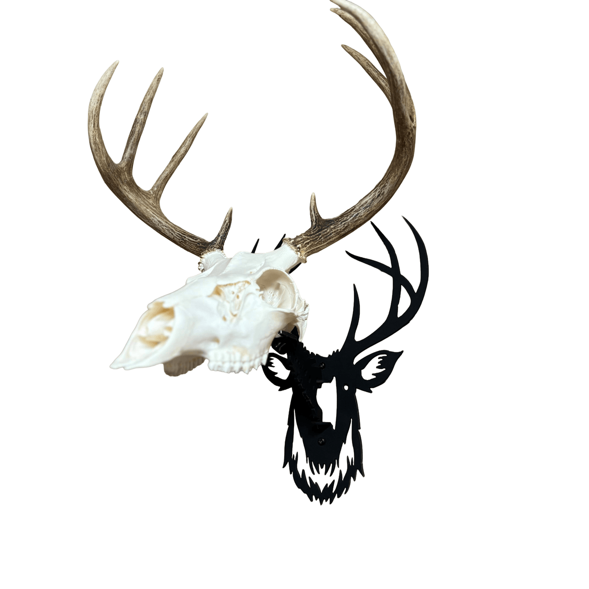 Steel Deer Skull Mount – Unique Laser-Cut Design with Powder Coating ...