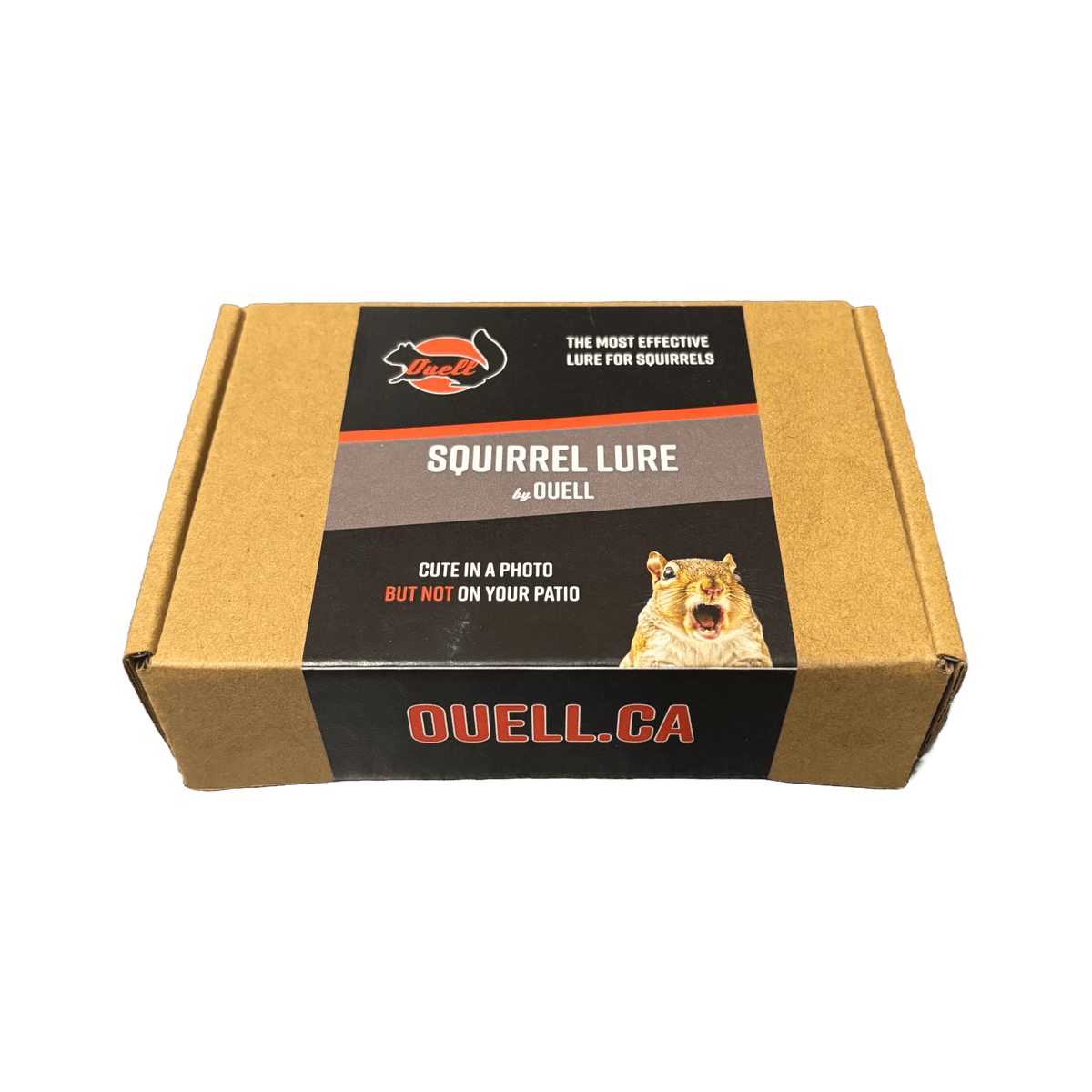 Squirrel bait – Pièges Ouell Traps