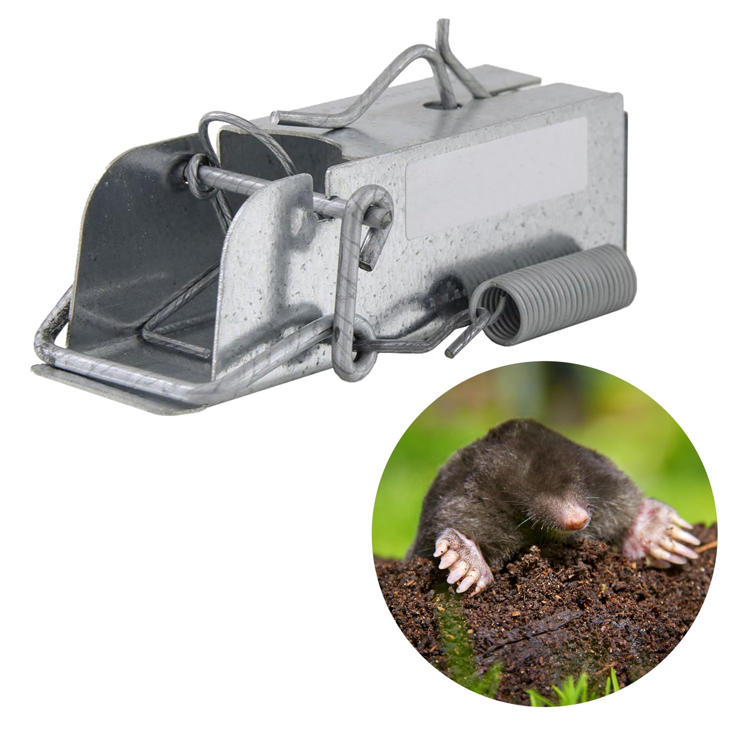 The 1 Trap for Mice Moles and Voles Ouell Traps Pieges Ouell Traps